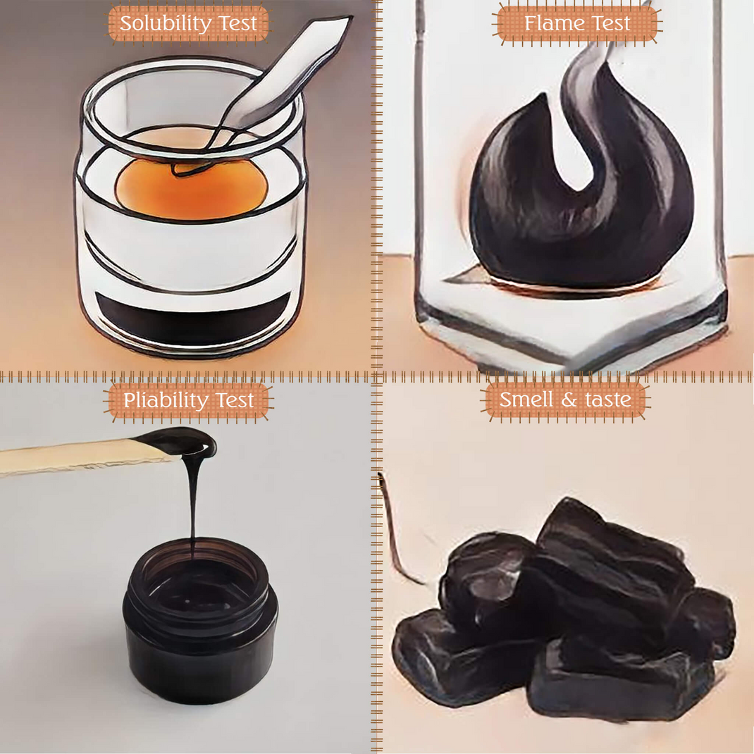 Real Himalayan Shilajit™ | World's Purest & Most Potent Shilajit Resin